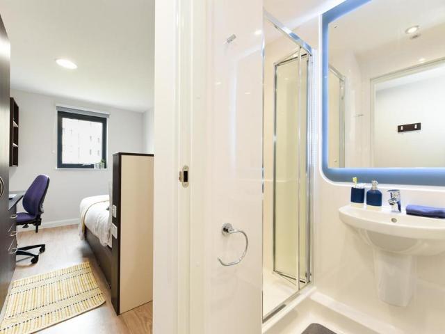 1 bedroom flat share to rent