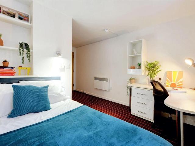 1 bedroom flat share to rent
