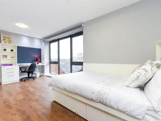 1 bedroom flat share to rent