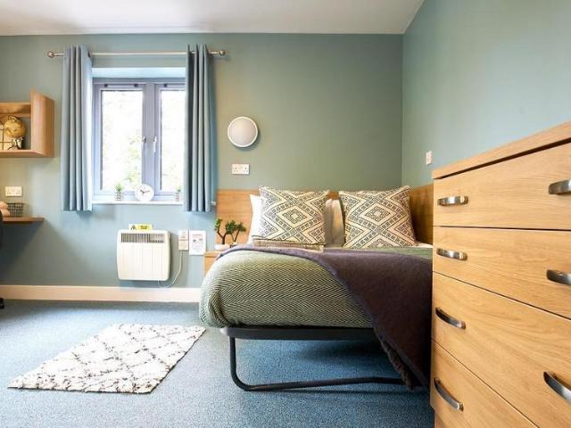 1 bedroom flat share to rent