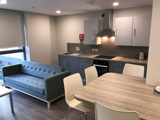 1 bedroom flat share to rent