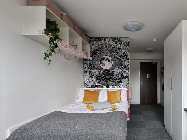 1 bedroom flat share to rent