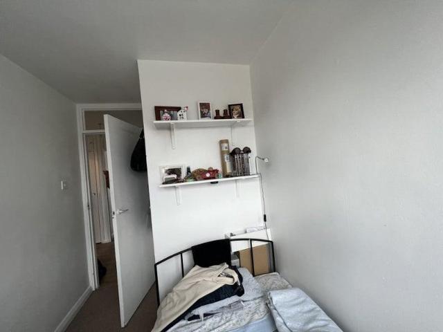 1 bedroom flat share to rent