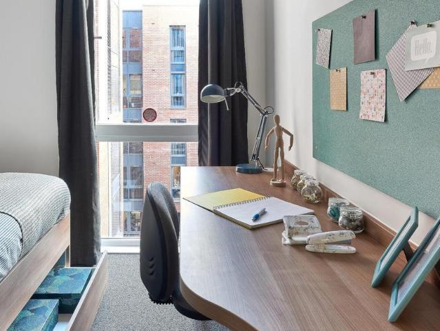 1 bedroom flat share to rent