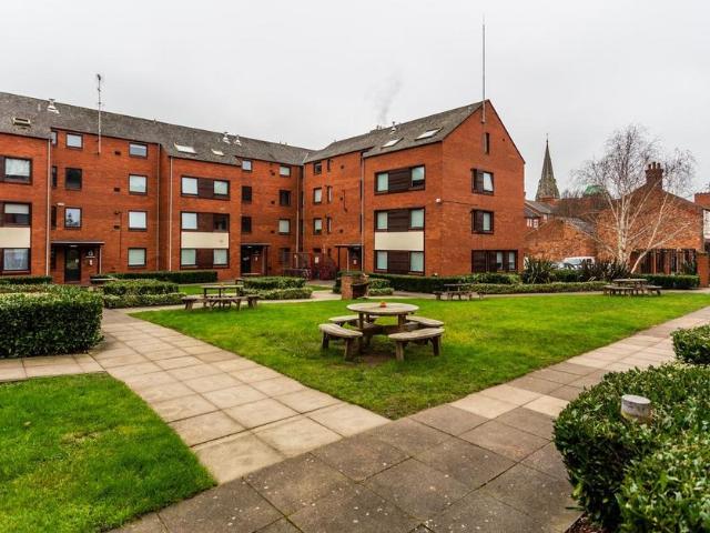 1 bedroom flat share to rent