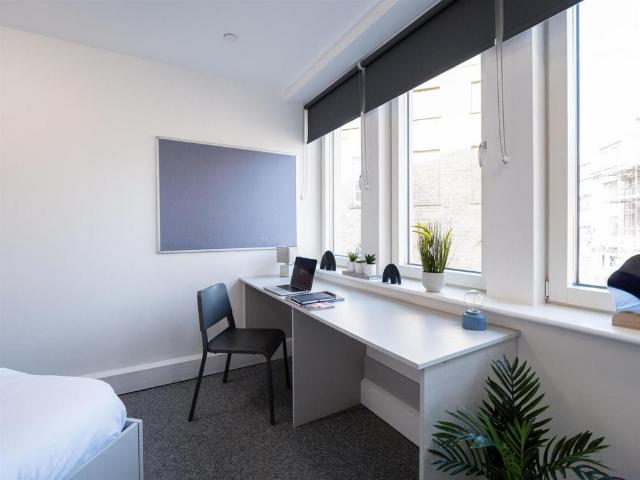 1 bedroom flat share to rent