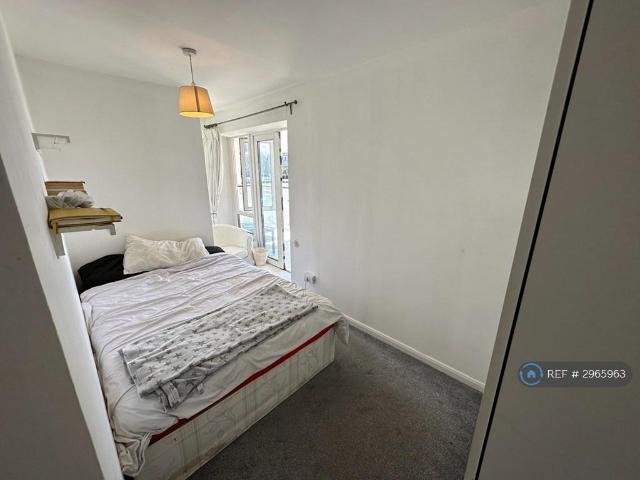 1 bedroom flat share to rent