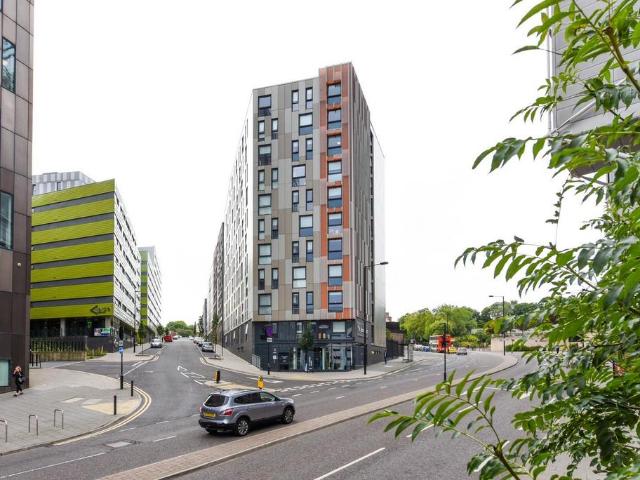 1 bedroom flat share to rent