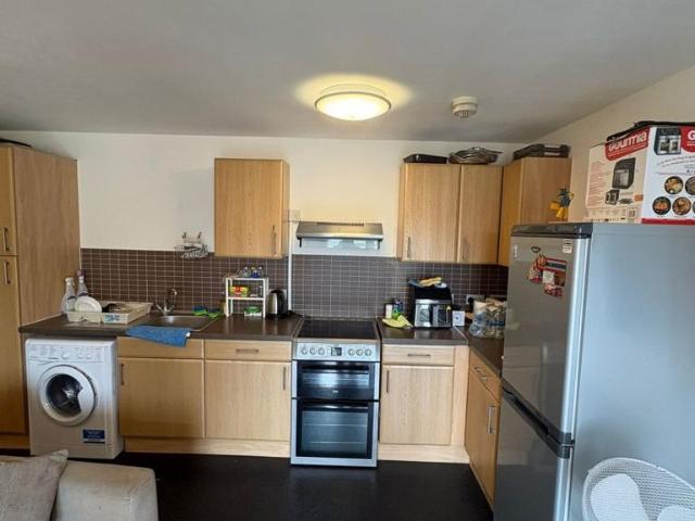 1 bedroom flat share to rent