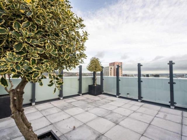 1 bedroom flat share to rent