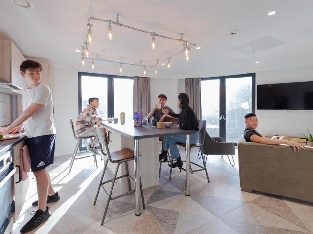 1 bedroom flat share to rent