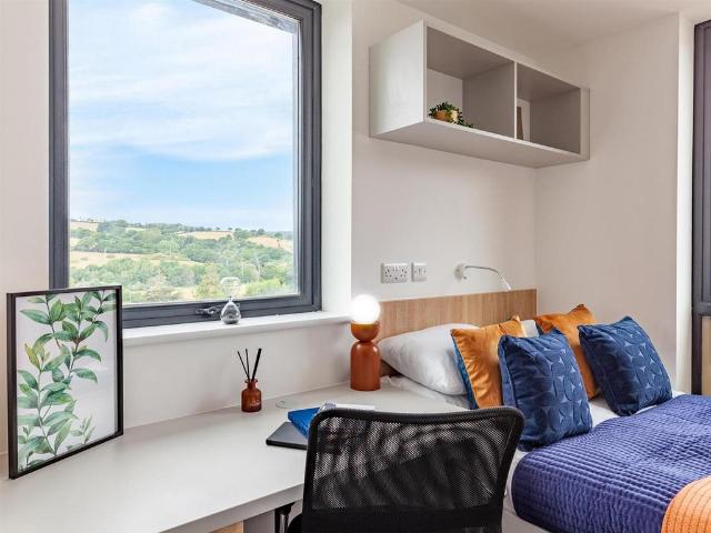 1 bedroom flat share to rent