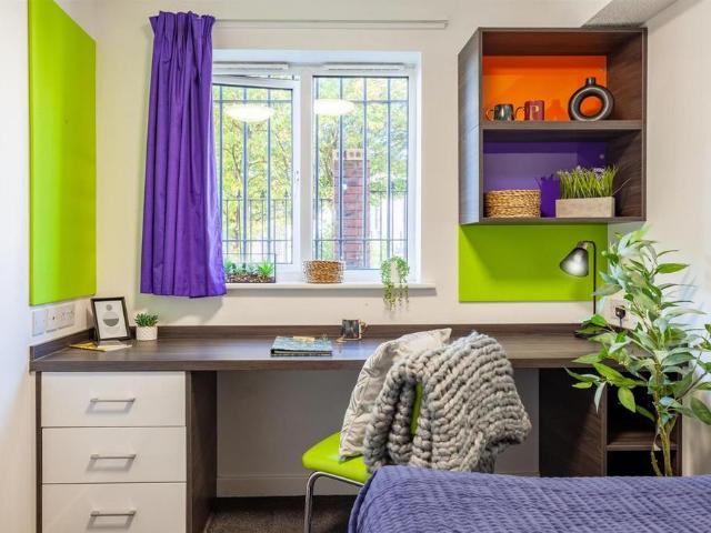 1 bedroom flat share to rent