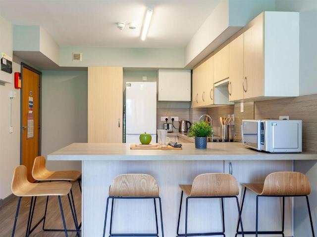 1 bedroom flat share to rent