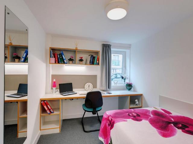 1 bedroom flat share to rent