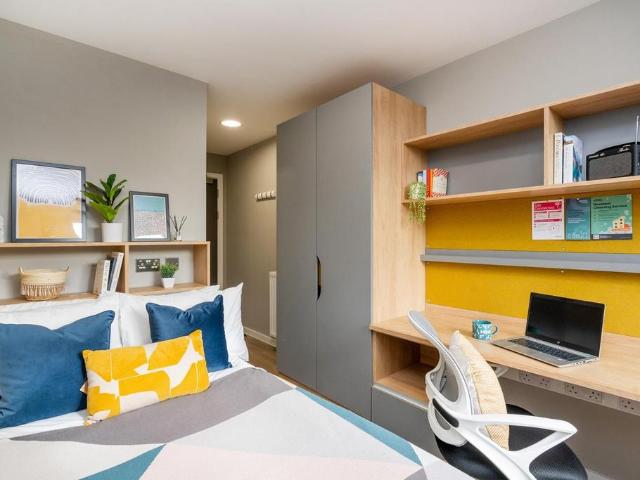 1 bedroom flat share to rent