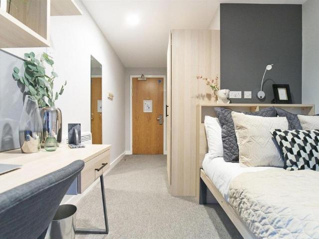 1 bedroom flat share to rent