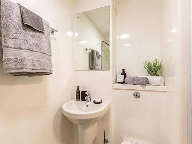 1 bedroom flat share to rent