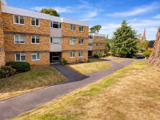 1 bedroom flat share to rent