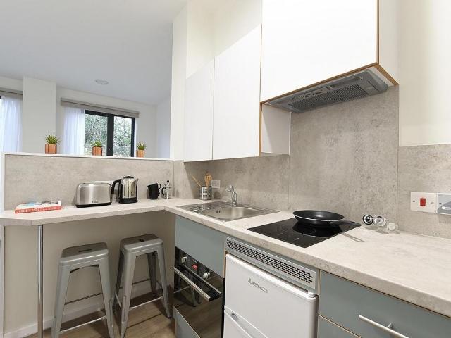 1 bedroom flat share to rent