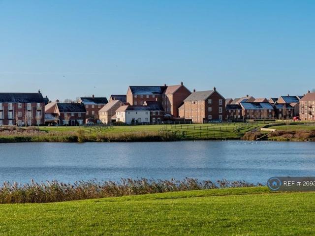 1 bedroom flat share to rent