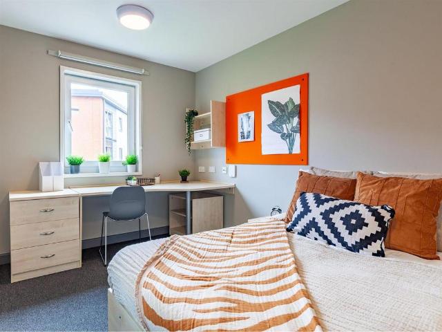 1 bedroom flat share to rent