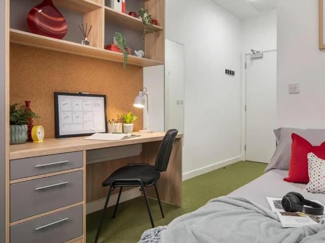 1 bedroom flat share to rent