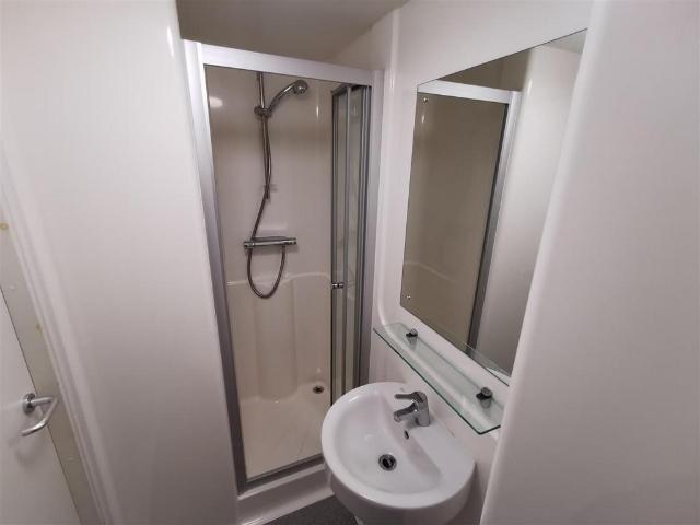 1 bedroom flat share to rent