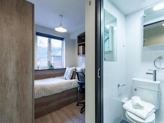 1 bedroom flat share to rent