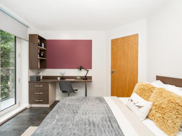 1 bedroom flat share to rent