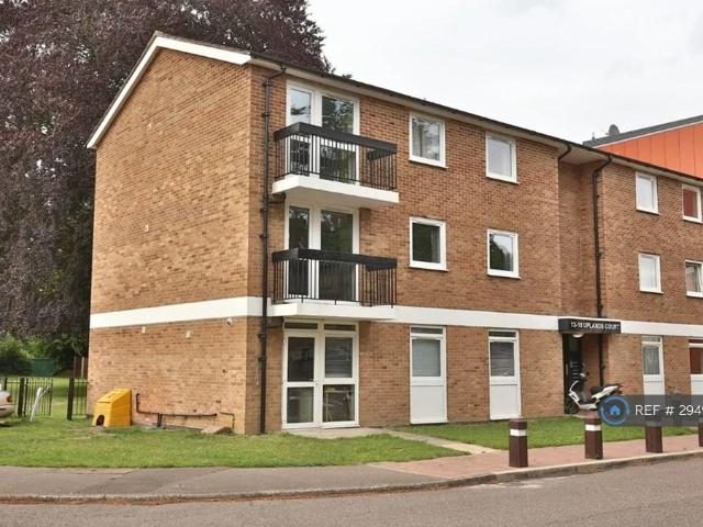 1 bedroom flat share to rent