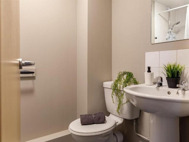 1 bedroom flat share to rent