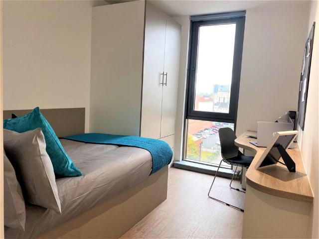 1 bedroom flat share to rent