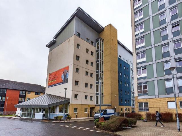 1 bedroom flat share to rent