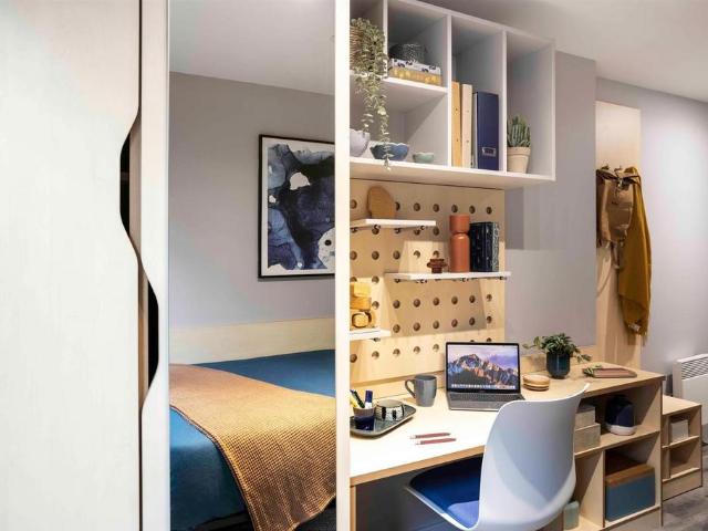 1 bedroom flat share to rent