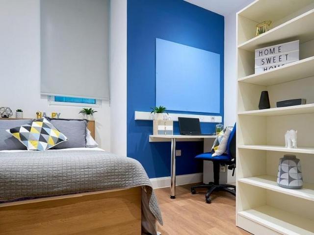 1 bedroom flat share to rent