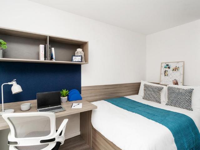 1 bedroom flat share to rent