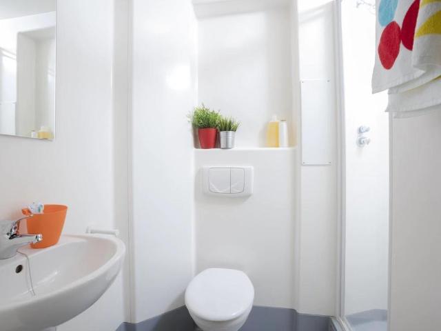 1 bedroom flat share to rent