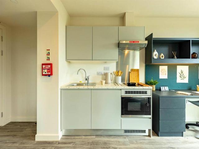 1 bedroom flat share to rent