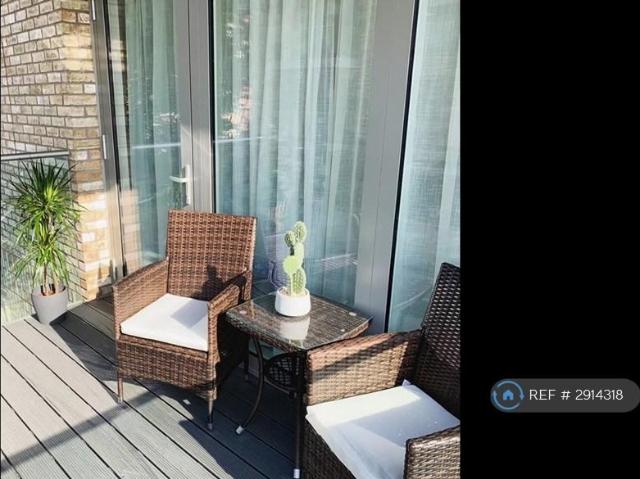 1 bedroom flat share to rent