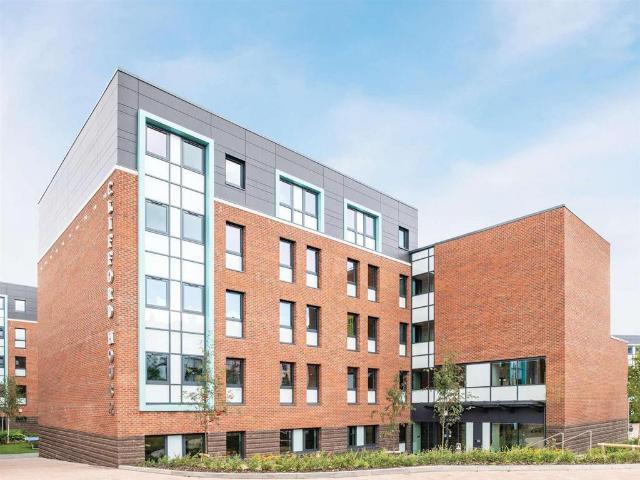 1 bedroom flat share to rent