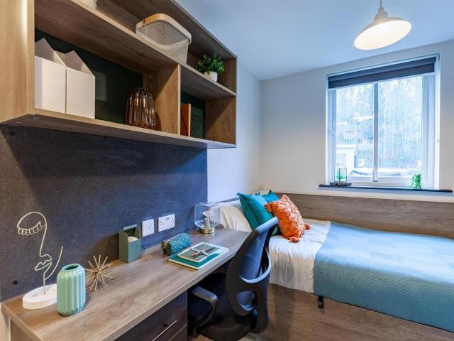 1 bedroom flat share to rent