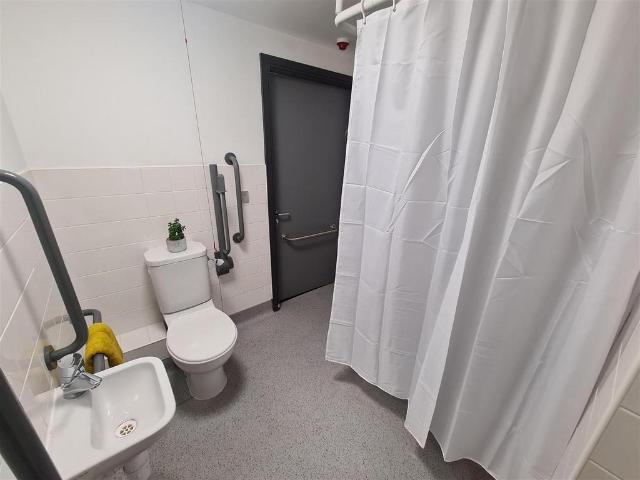 1 bedroom flat share to rent