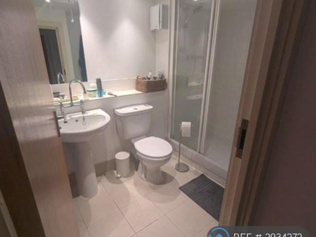 1 bedroom flat share to rent
