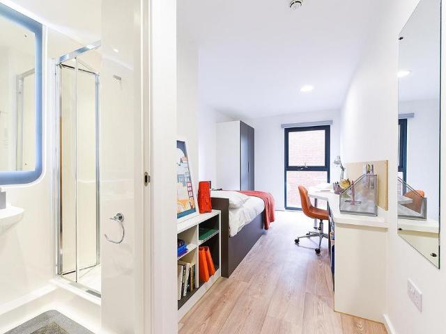 1 bedroom flat share to rent