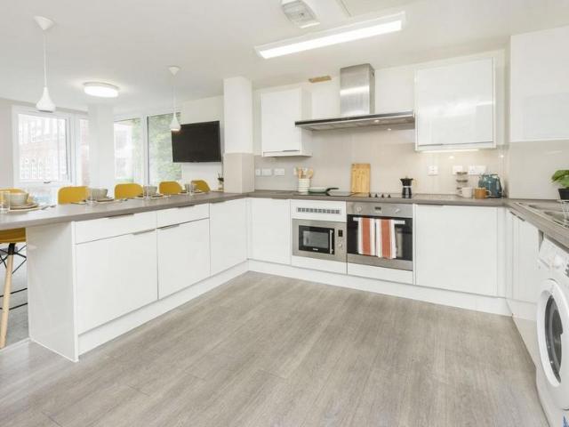1 bedroom flat share to rent
