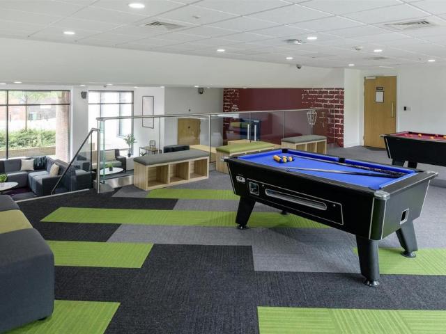 1 bedroom flat share to rent