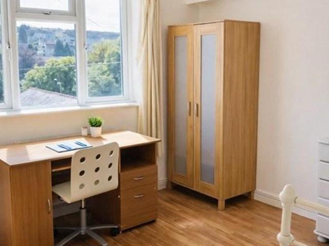 1 bedroom flat share to rent