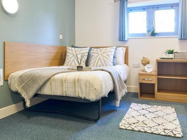 1 bedroom flat share to rent