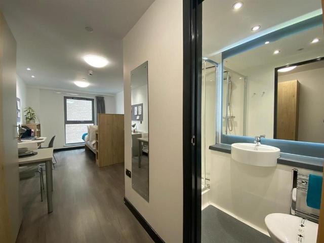 1 bedroom flat share to rent